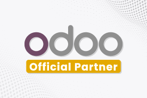 Our Partners | SerpentCS