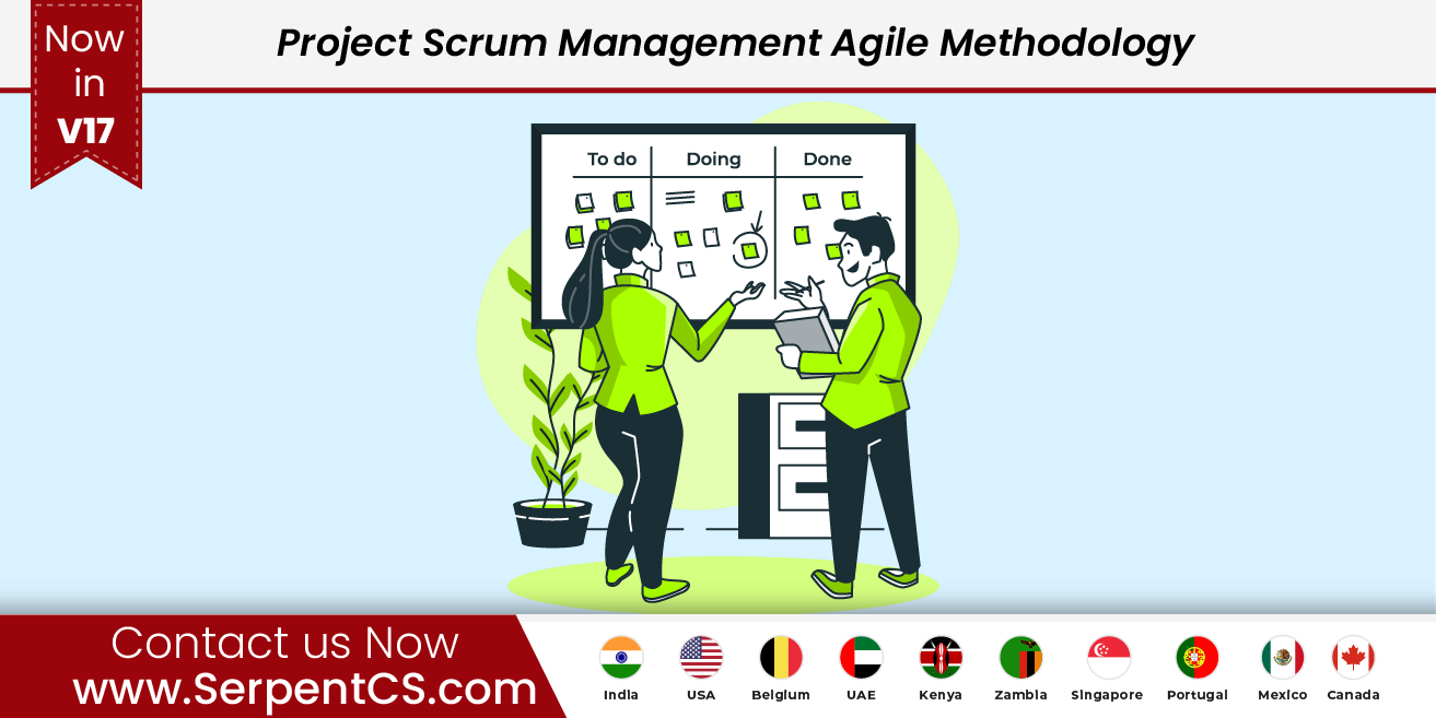Project Scrum Management System with agile methodology | SerpentCS